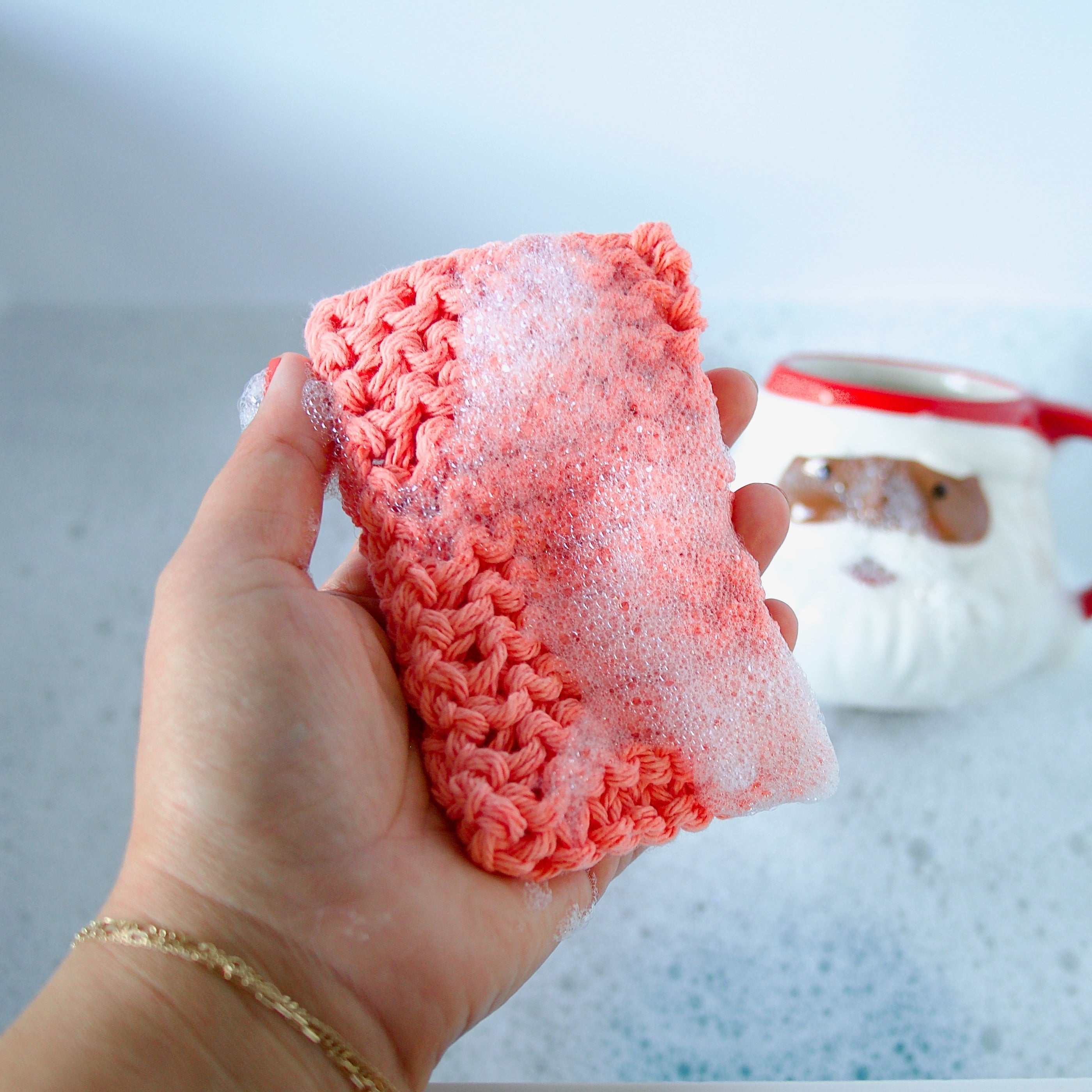 Reusable, Eco-Friendly Forever Sponge FAQ | Paloma Danger